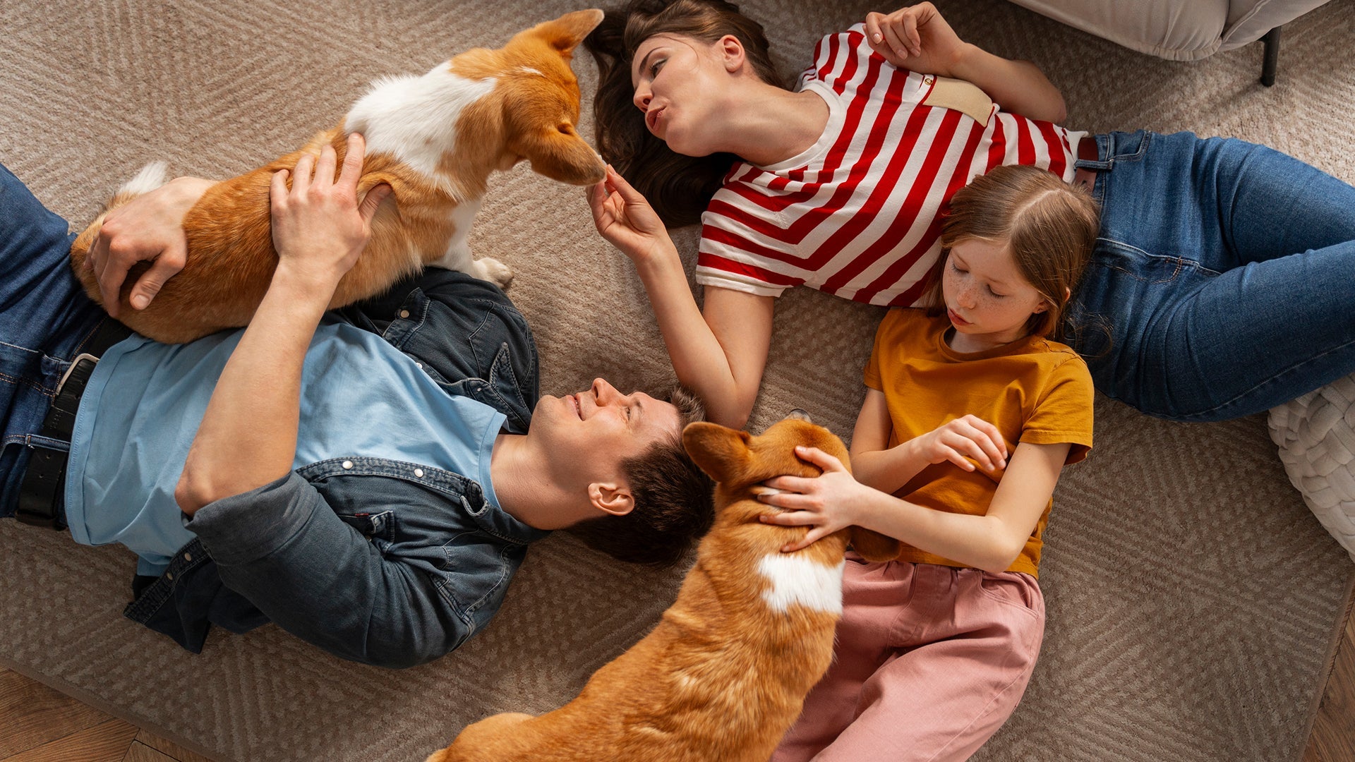 Premium Pet Supplies for Dogs, Cats, Chickens, Birds & Small Pets | Pawhut